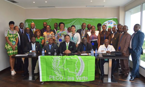 Kinshasa accueille le cinquième congrès des verts Africains - Journal ...